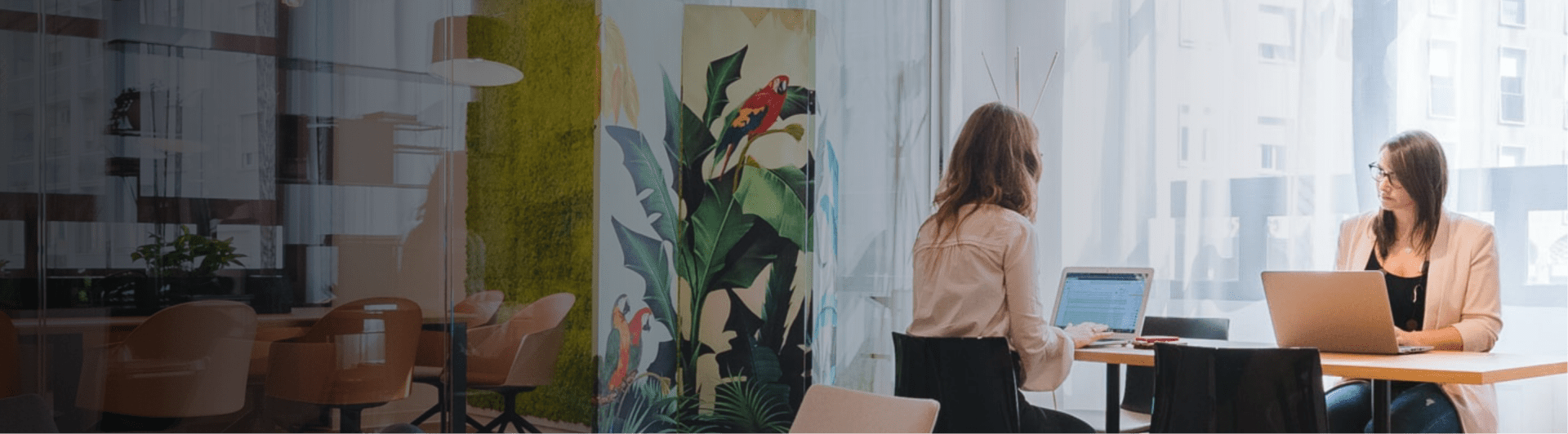 Consultoria - Value Bridge